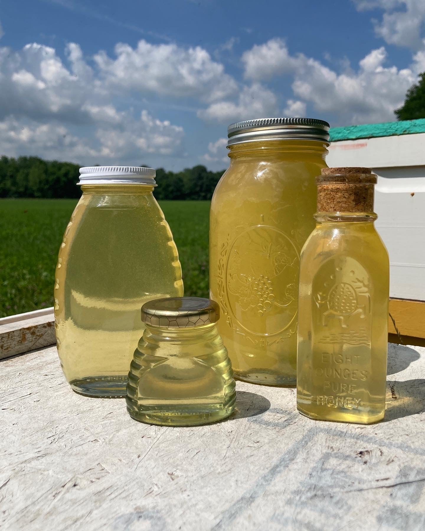 Spring Honey Glass – Cree's Bees Apiaries